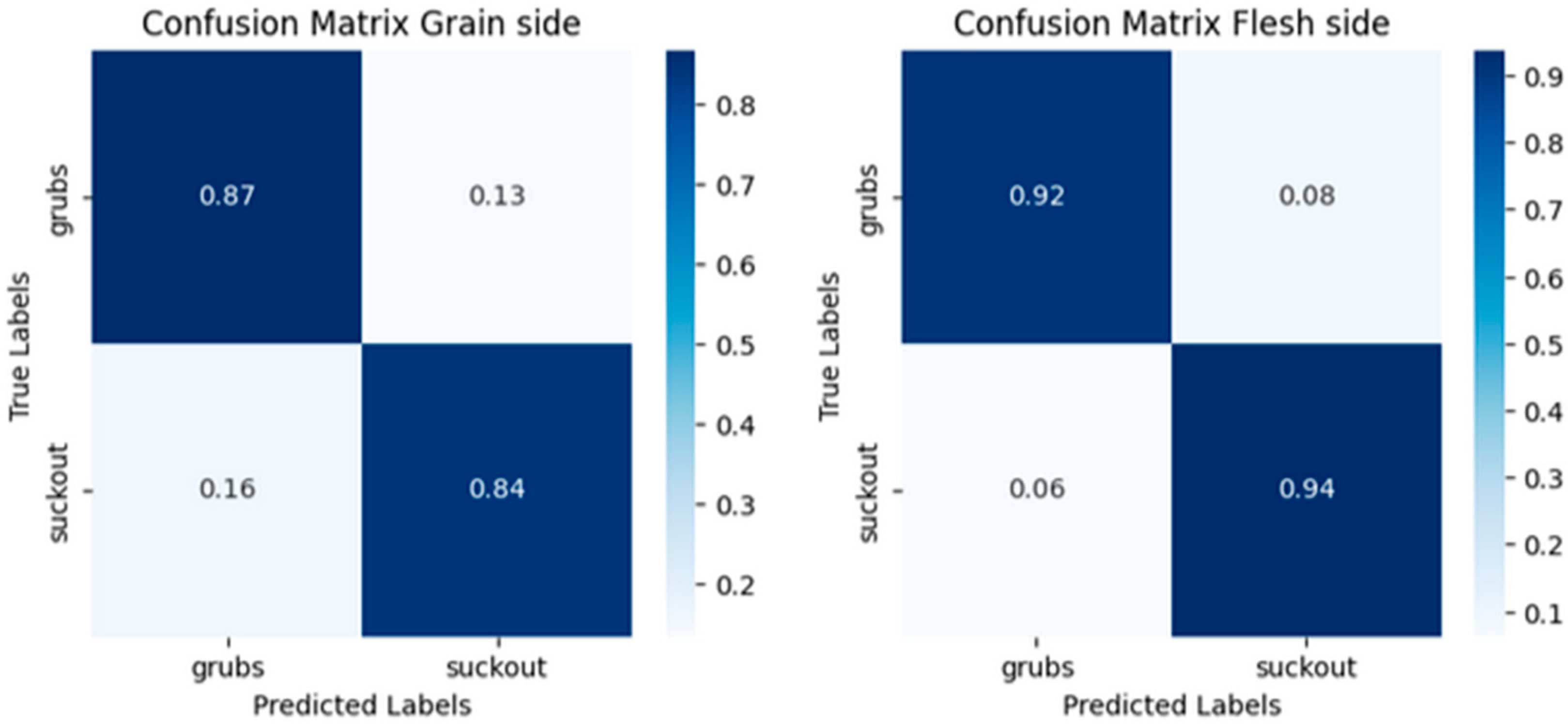 Automated Dual-Side Leather Defect Detection and Classification Using ...
