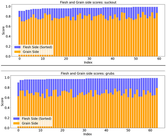 Automated Dual-Side Leather Defect Detection and Classification Using YOLOv11: A Case Study in ...