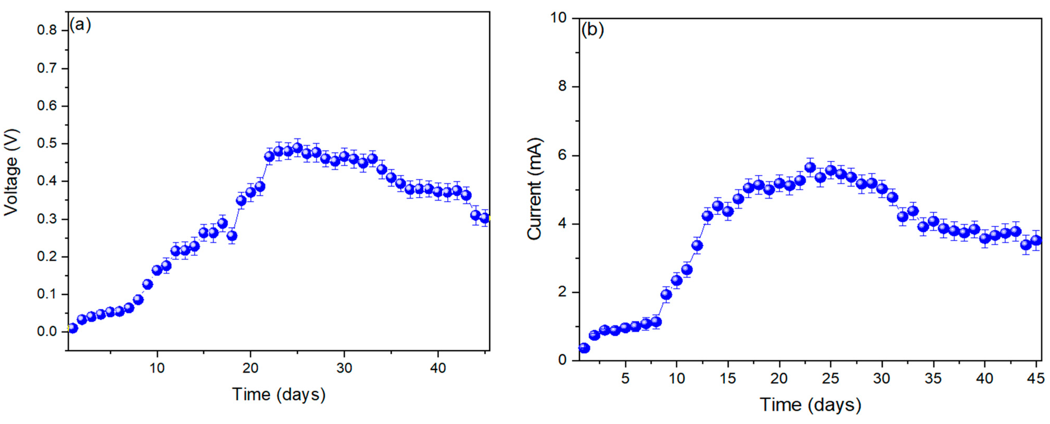 Potential Use of the Fungus Trichoderma sp. as a Plastic-Reducing Agent ...