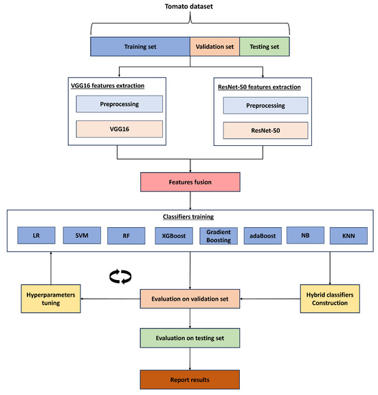 Automated Tomato Defect Detection Using CNN Feature Fusion for Enhanced Classification
