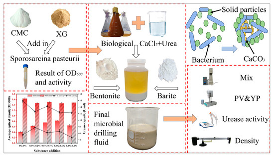 Microbially Induced Calcite Precipitation (MICP) Improved Drilling ...