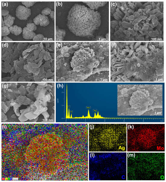 Preparation of Silver Molybdate-Decorated Reduced Graphene Oxide ...