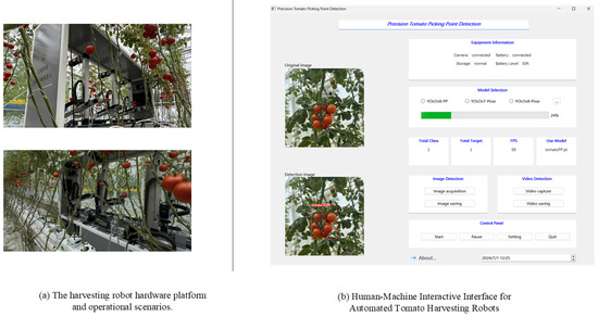Development of an Optimized YOLO-PP-Based Cherry Tomato Detection System for Autonomous ...