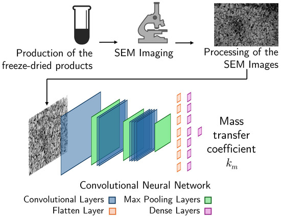 Enhancing Mass Transfer Coefficient Prediction from Field Emission ...