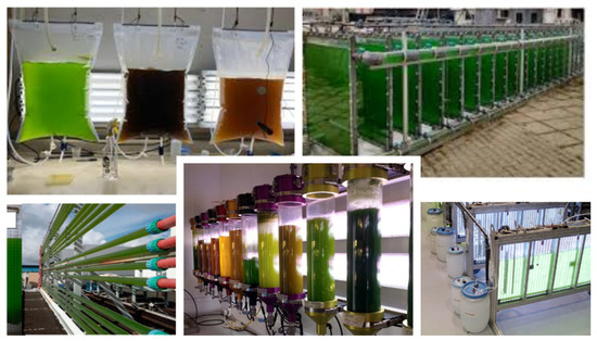 Biofuels from Microalgae: A Review on Microalgae Cultivation, Biodiesel Production Techniques ...