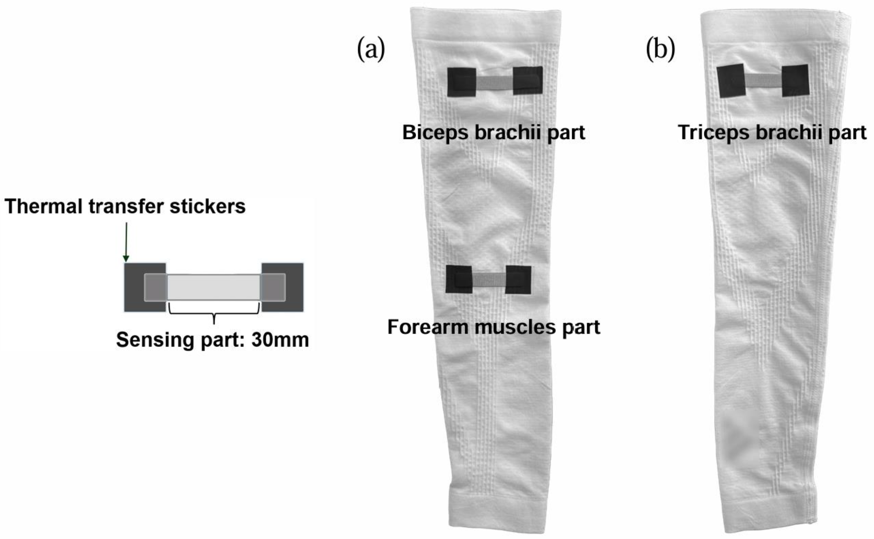 Deep Learning-Based Mapping of Textile Stretch Sensors to Surface Electromyography Signals ...
