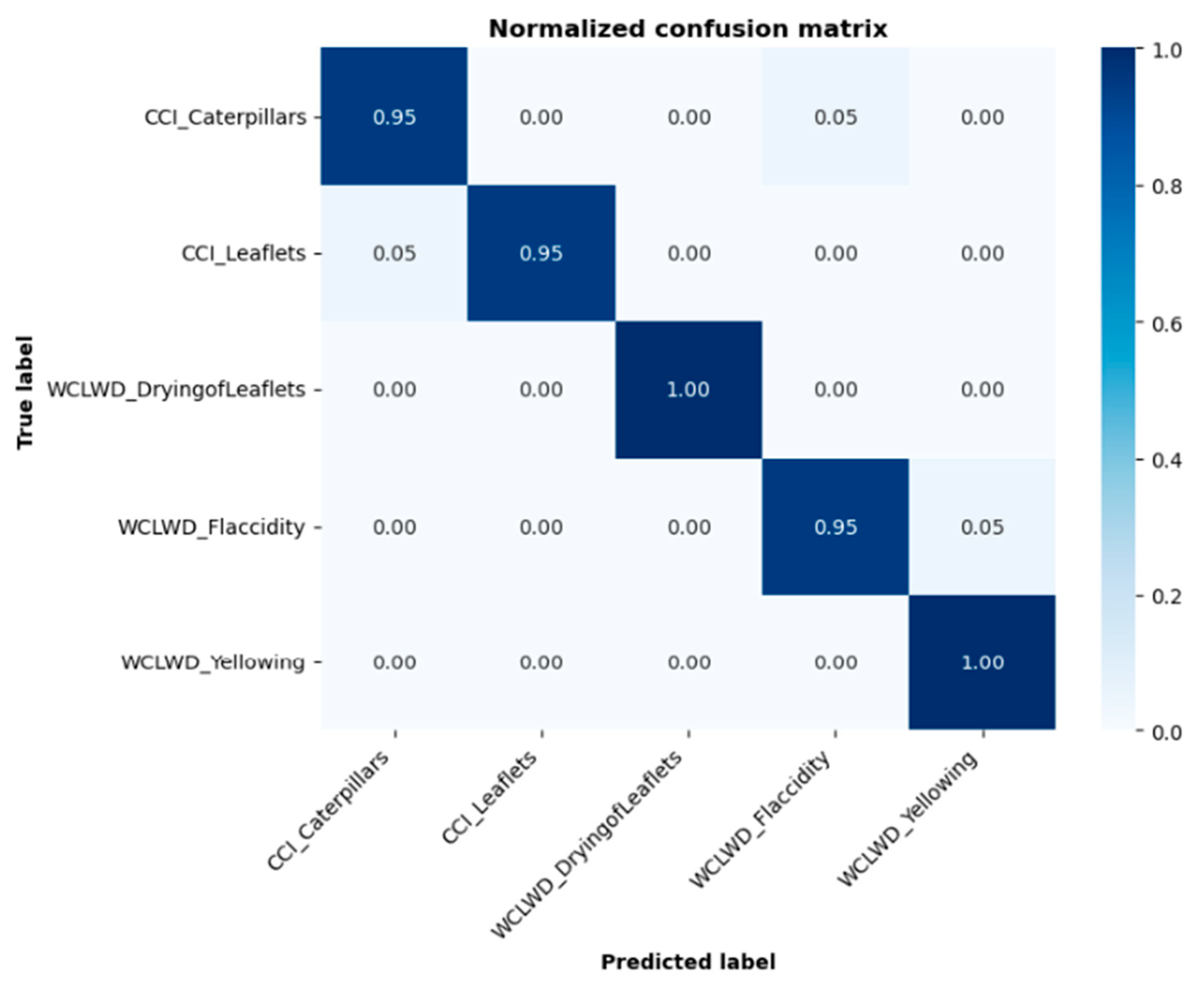 Disease Infection Classification in Coconut Tree Based on an Enhanced Visual Geometry Group Model