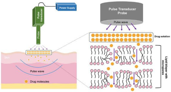 Topical and Transdermal Delivery of Nonsteroidal Anti-Inflammatory ...