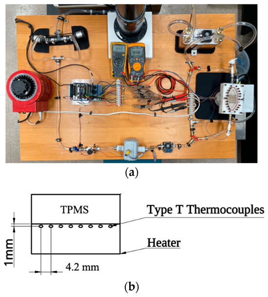 Optimization of the TPMS Heat Exchanger Toward Cooling the Heat Sink