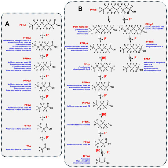 Recent Progress and Challenges in Microbial Defluorination and ...