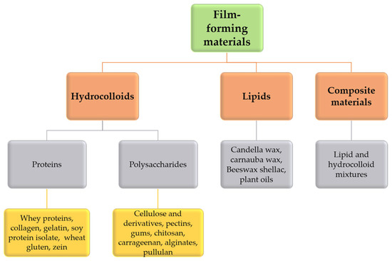 Edible Pouch Packaging for Food Applications—A Review