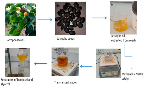 Optimization of Low-Rank Coal Flotation Using Jatropha curcas Biodiesel ...