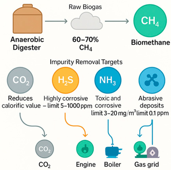 Advances and Challenges in Anaerobic Digestion for Biogas Production ...