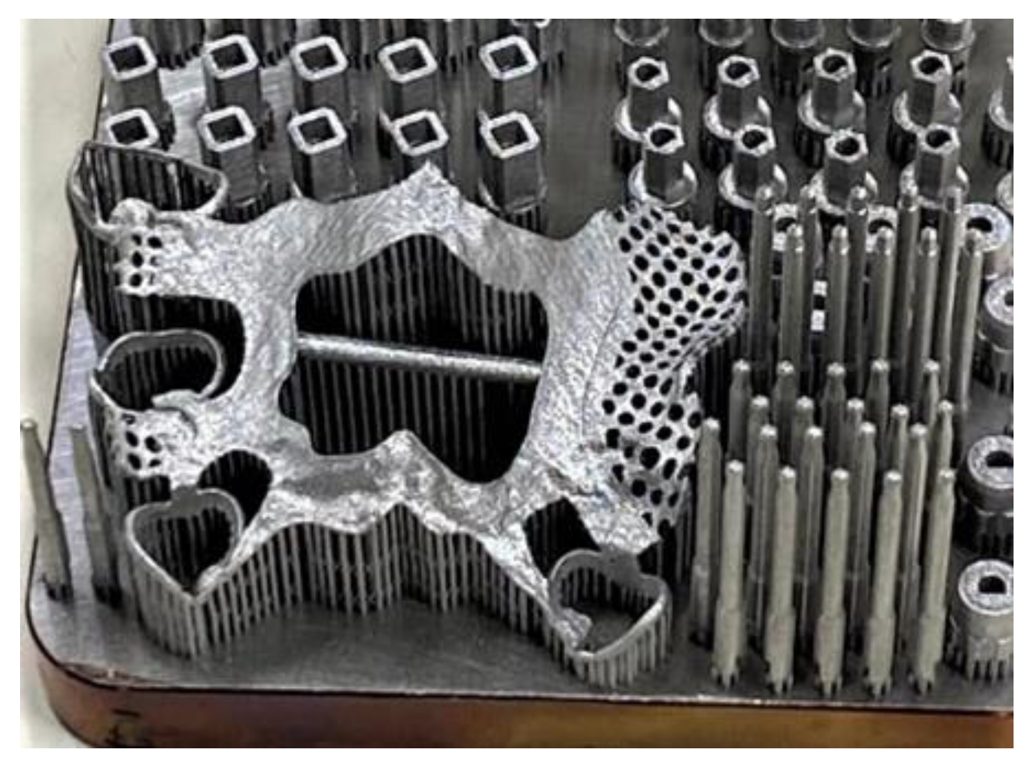 Construction of a Removable Partial Denture (RPD): Comparison between ...