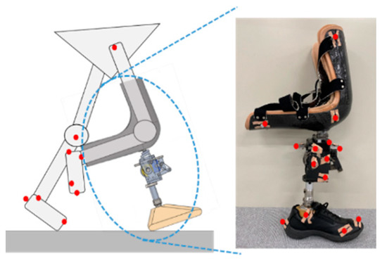Prosthesis | An Open Access Journal from MDPI