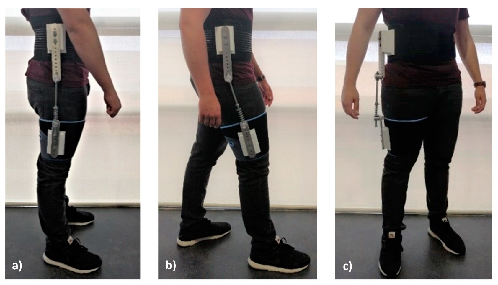 Study of a Passive Orthosis for Reducing the Load Transfer in the Hip Joint