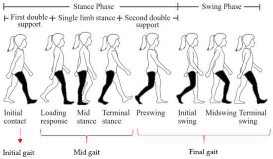 Prosthesis | Free Full-Text | Human Walking Gait Classification ...