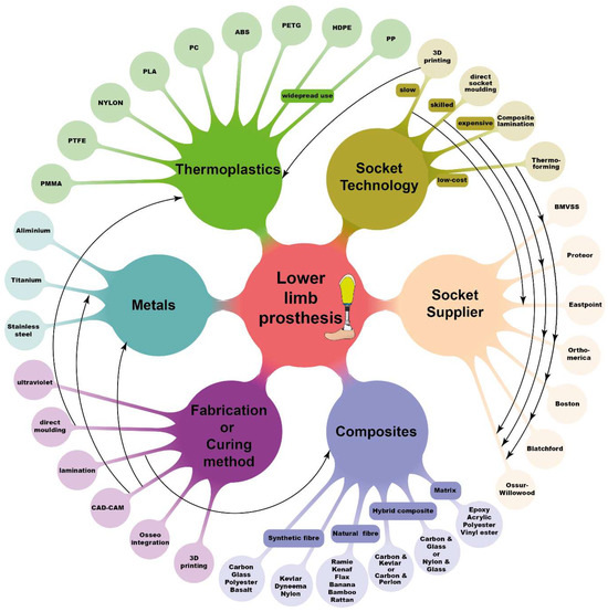 Single Polymer Composites: An Innovative Solution for Lower Limb ...