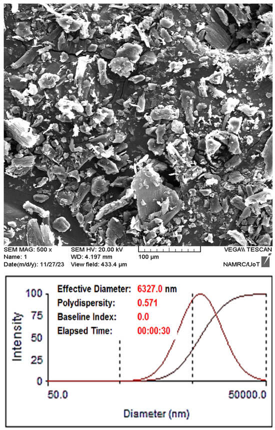 The Impact of Incorporating Grapefruit Seed Skin Particles into 3D ...