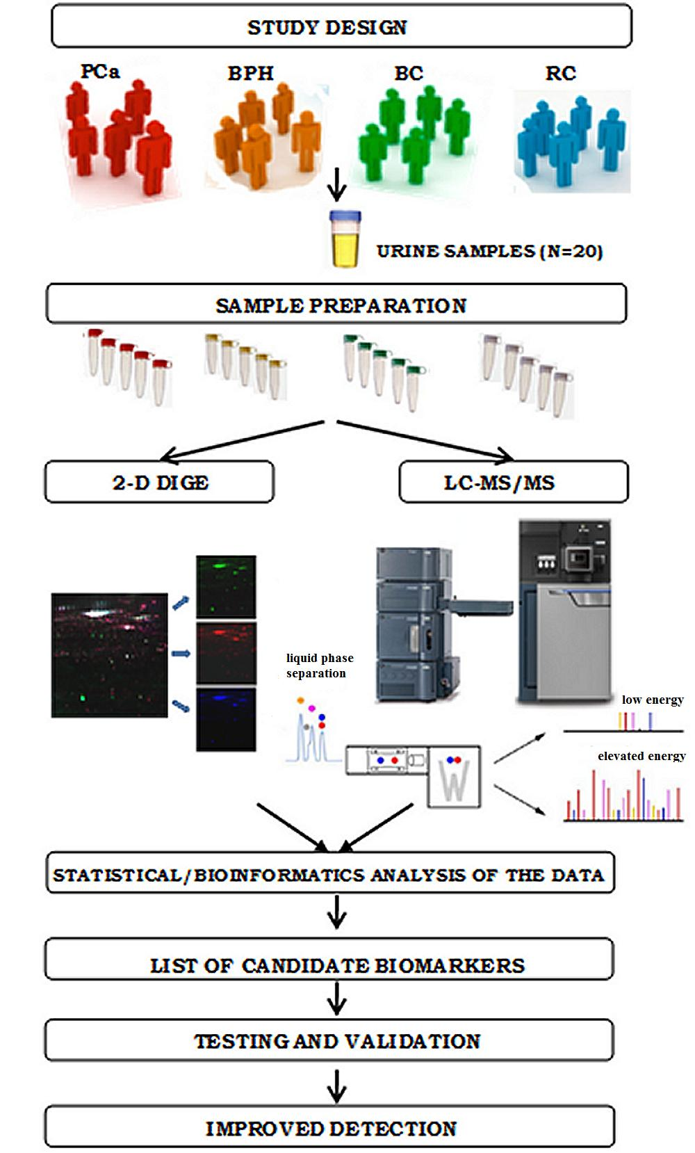 Proteomes | Free Full-Text | Comparative Proteomics Analysis of Urine ...