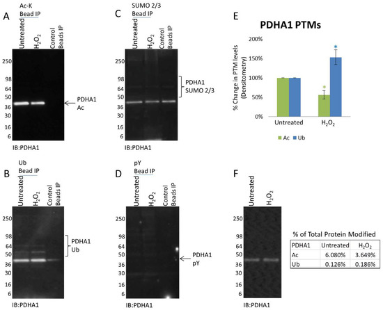 Utilizing Optimized Tools to Investigate PTM Crosstalk: Identifying ...