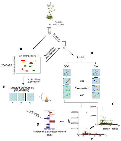 Proteomes | Special Issue : Plant Proteomics 2017