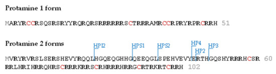 Protamine Characterization by Top-Down Proteomics: Boosting Proteoform ...