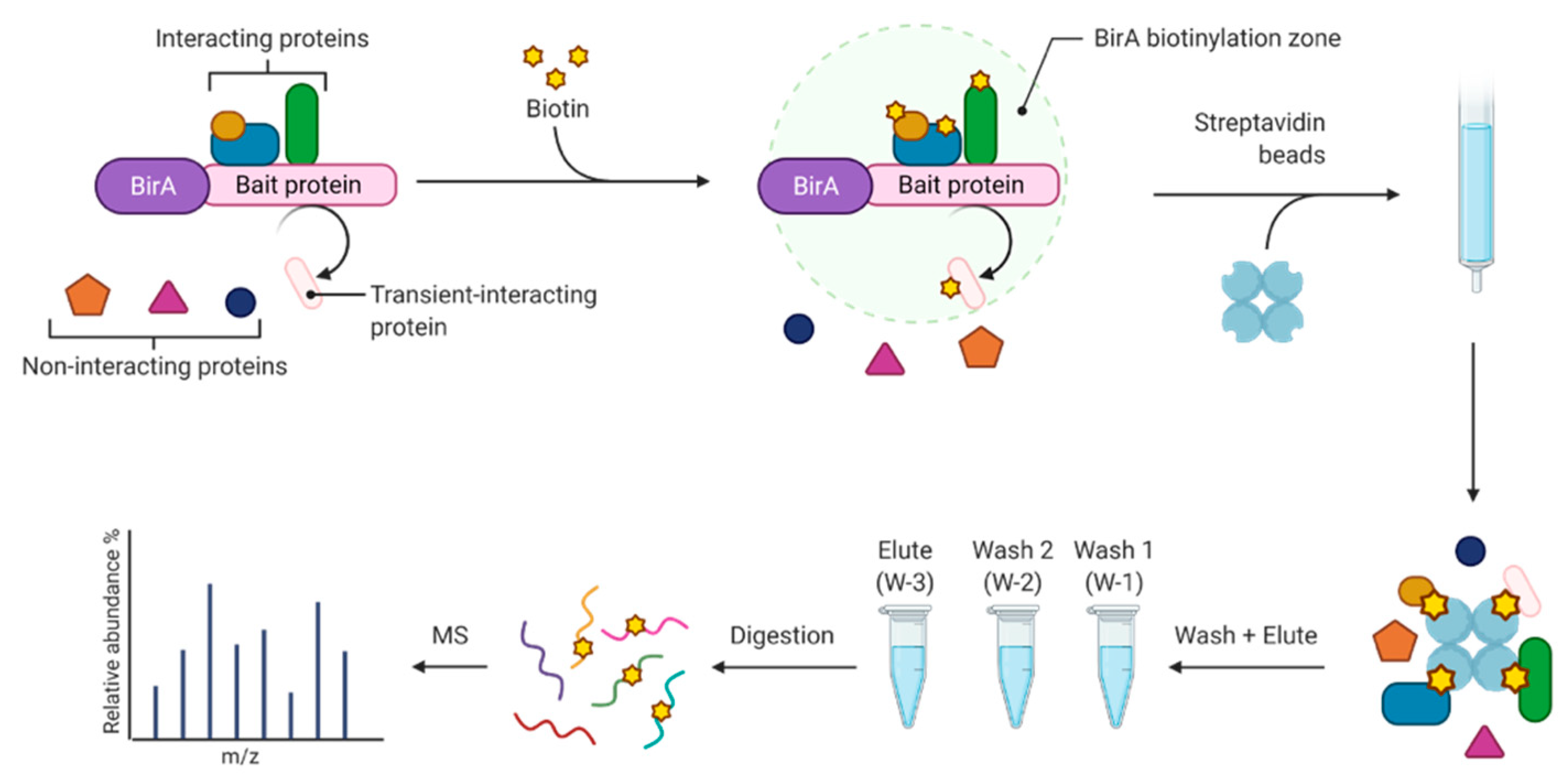 Proteomes | Free Full-Text | Pattern Analysis of Organellar Maps for ... Proteomes | Free Full-Text | Pattern Analysis of Organellar Maps for ...