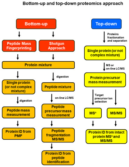 Proteomics-Based Identification of Dysregulated Proteins in Breast Cancer