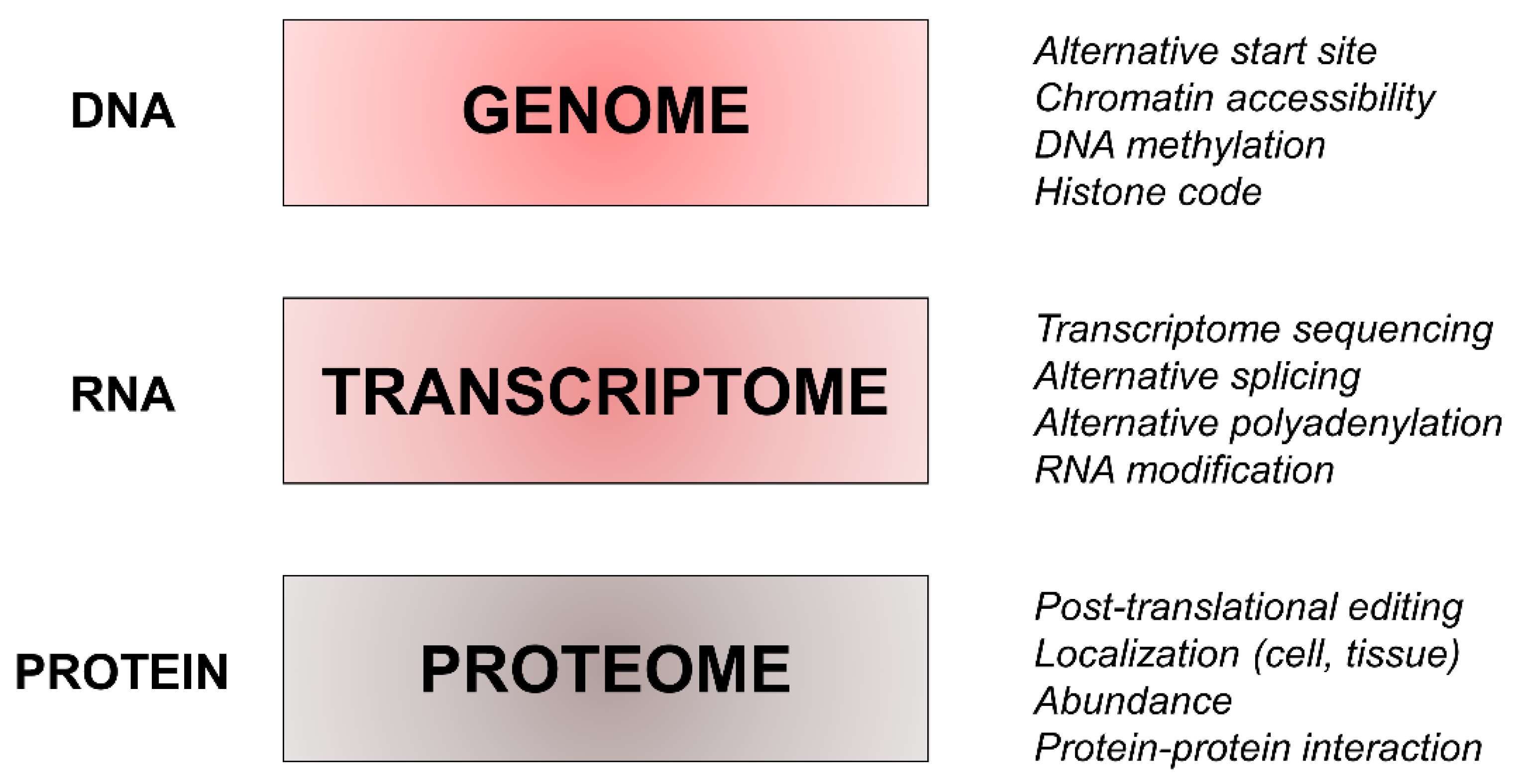 The Need for Biomarkers in the ALS–FTD Spectrum: A Clinical Point of ...