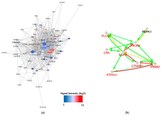 Comprehensive Kinase Activity Profiling Revealed the Kinase Activity Patterns Associated with ...