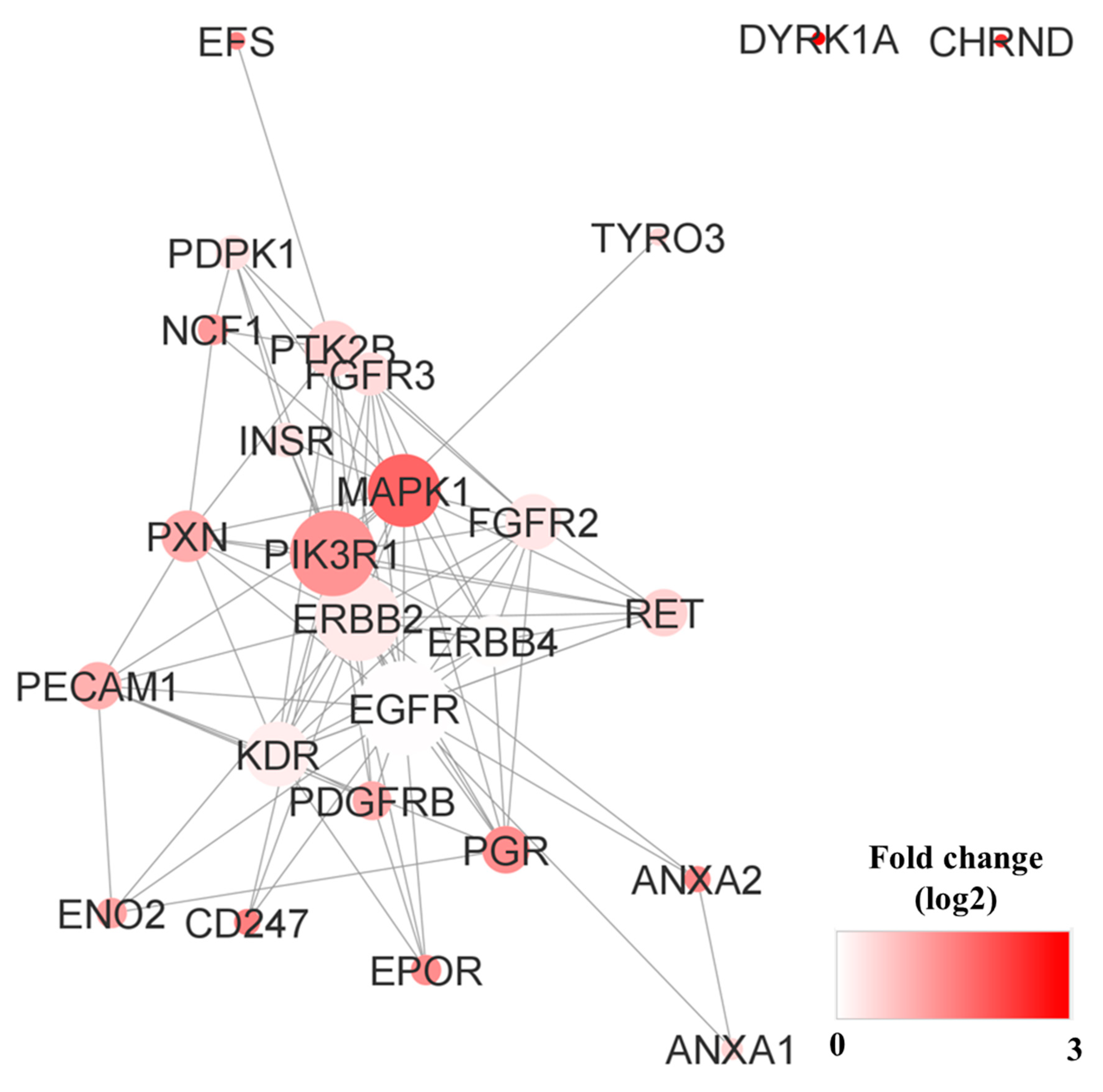 Comprehensive Kinase Activity Profiling Revealed the Kinase Activity Patterns Associated with ...
