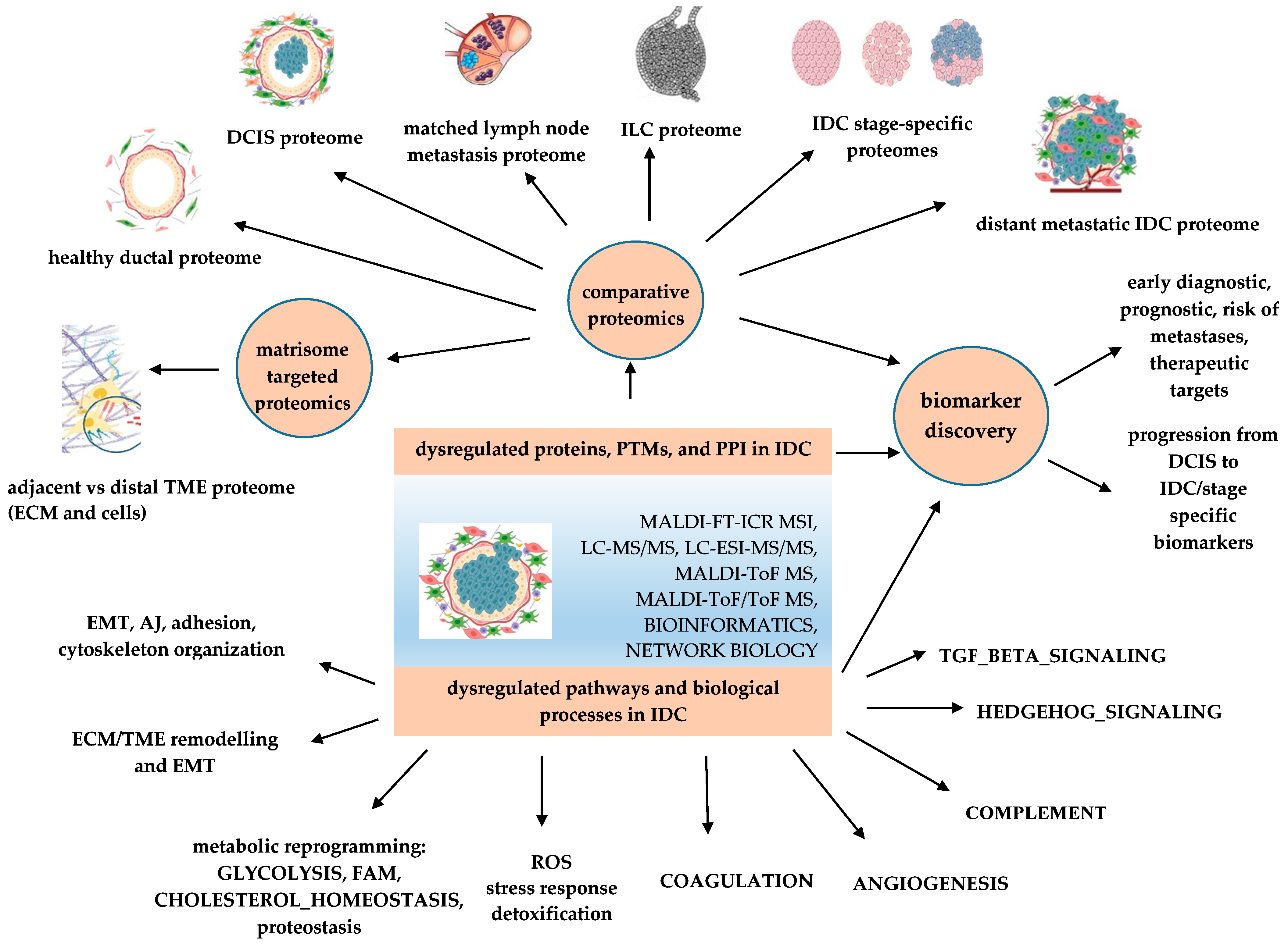 Figure 1 From Proteomics And Translational Modificati