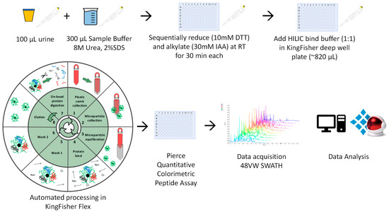 Urine-HILIC: Automated Sample Preparation for Bottom-Up Urinary ...