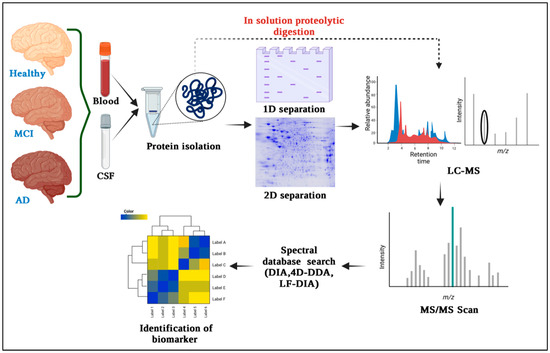 Unveiling the Molecular Footprint: Proteome-Based Biomarkers for ...