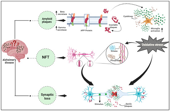 Unveiling the Molecular Footprint: Proteome-Based Biomarkers for ...