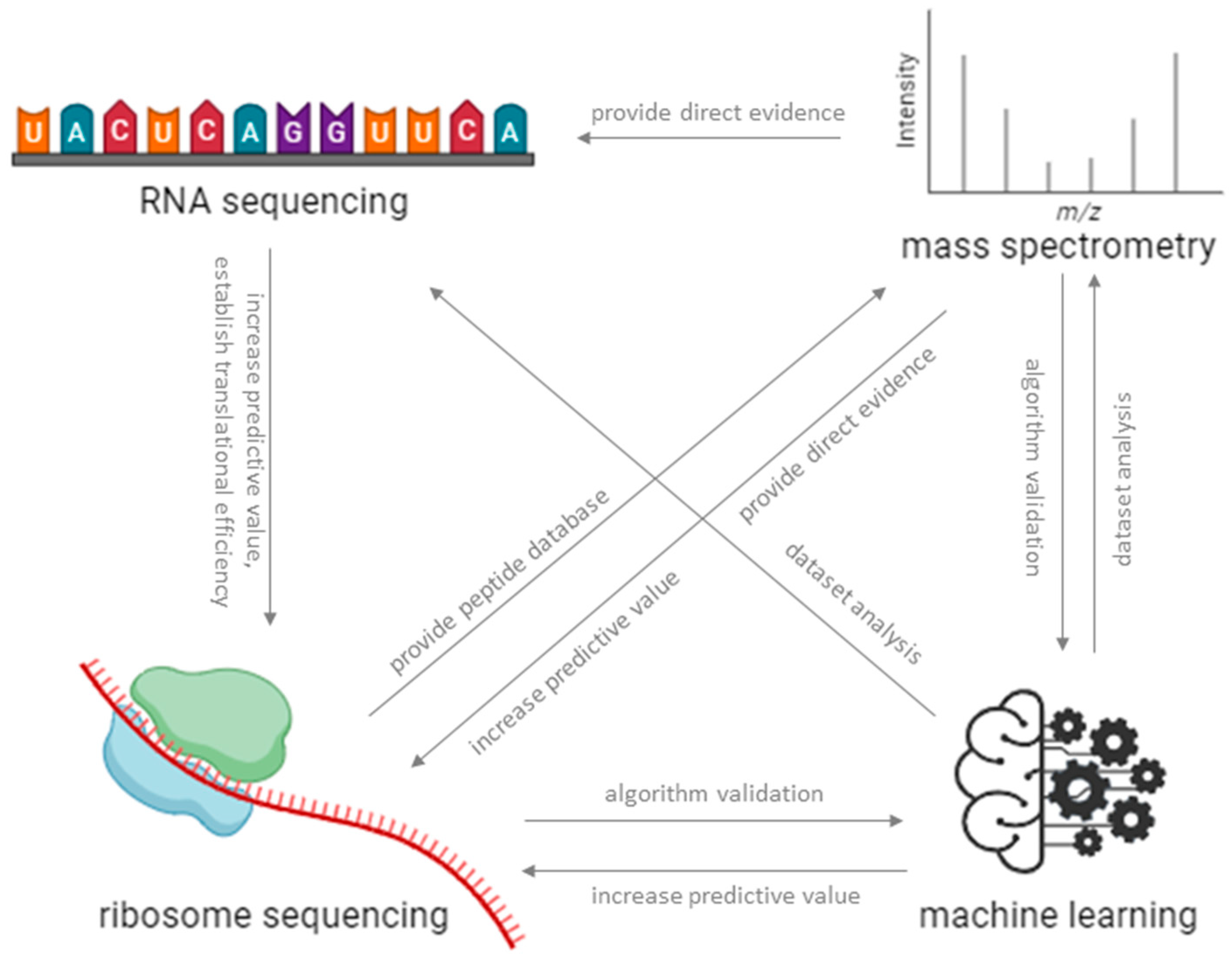 Multi-Omic Approaches in Cancer-Related Micropeptide Identification