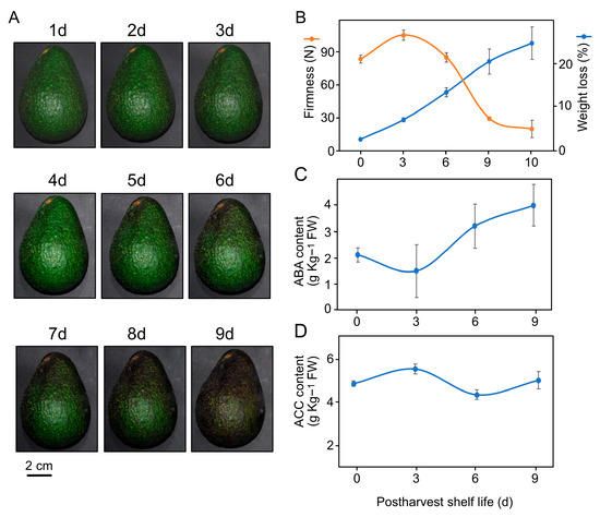 Towards Characterization of Hass Avocado Peel and Pulp Proteome during ...