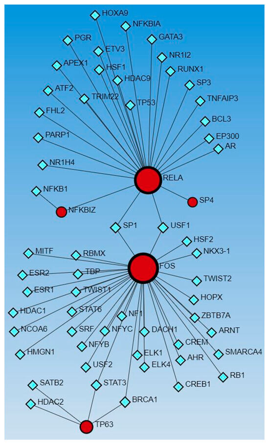 Transcriptomics Revealed Differentially Expressed Transcription Factors ...