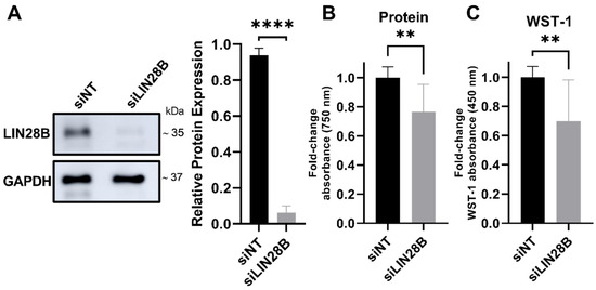 Role of LIN28B in the Regulation of Ribosomal Biogenesis and Lipid ...