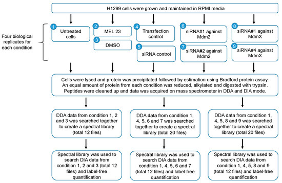 Analysis of p53-Independent Functions of the Mdm2-MdmX Complex Using ...