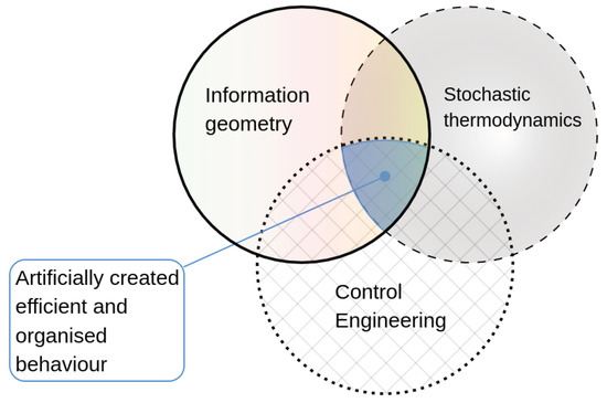 Information Geometry Control under the Laplace Assumption