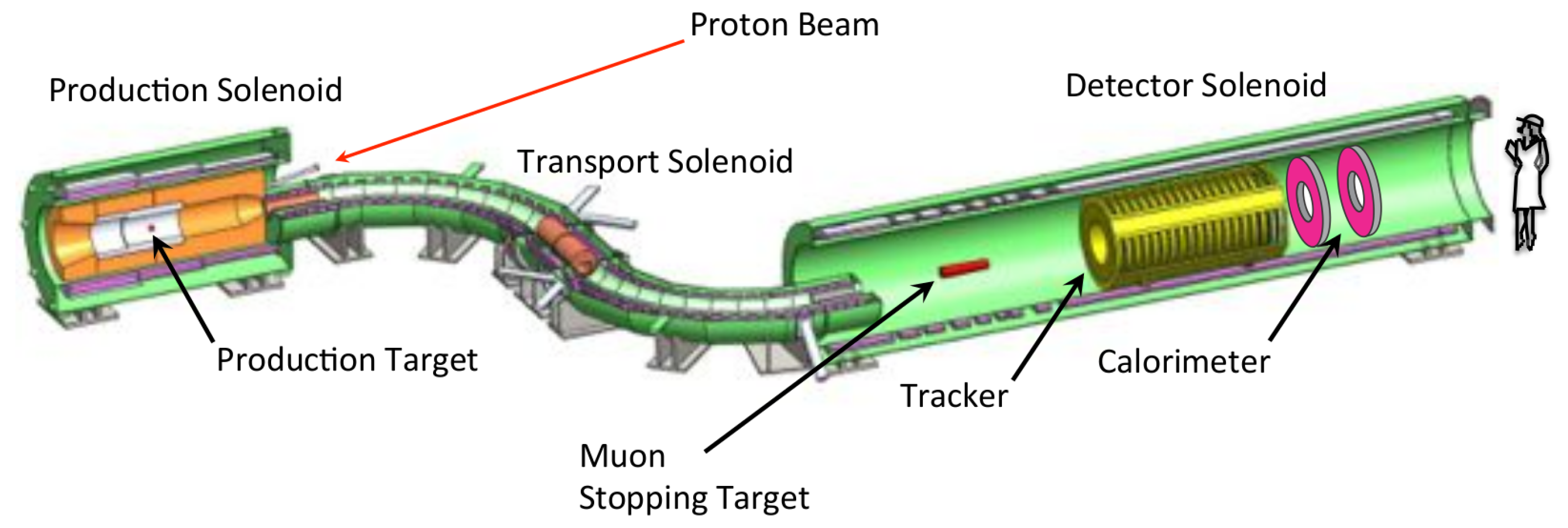 The Future of Experimental Muon Physics