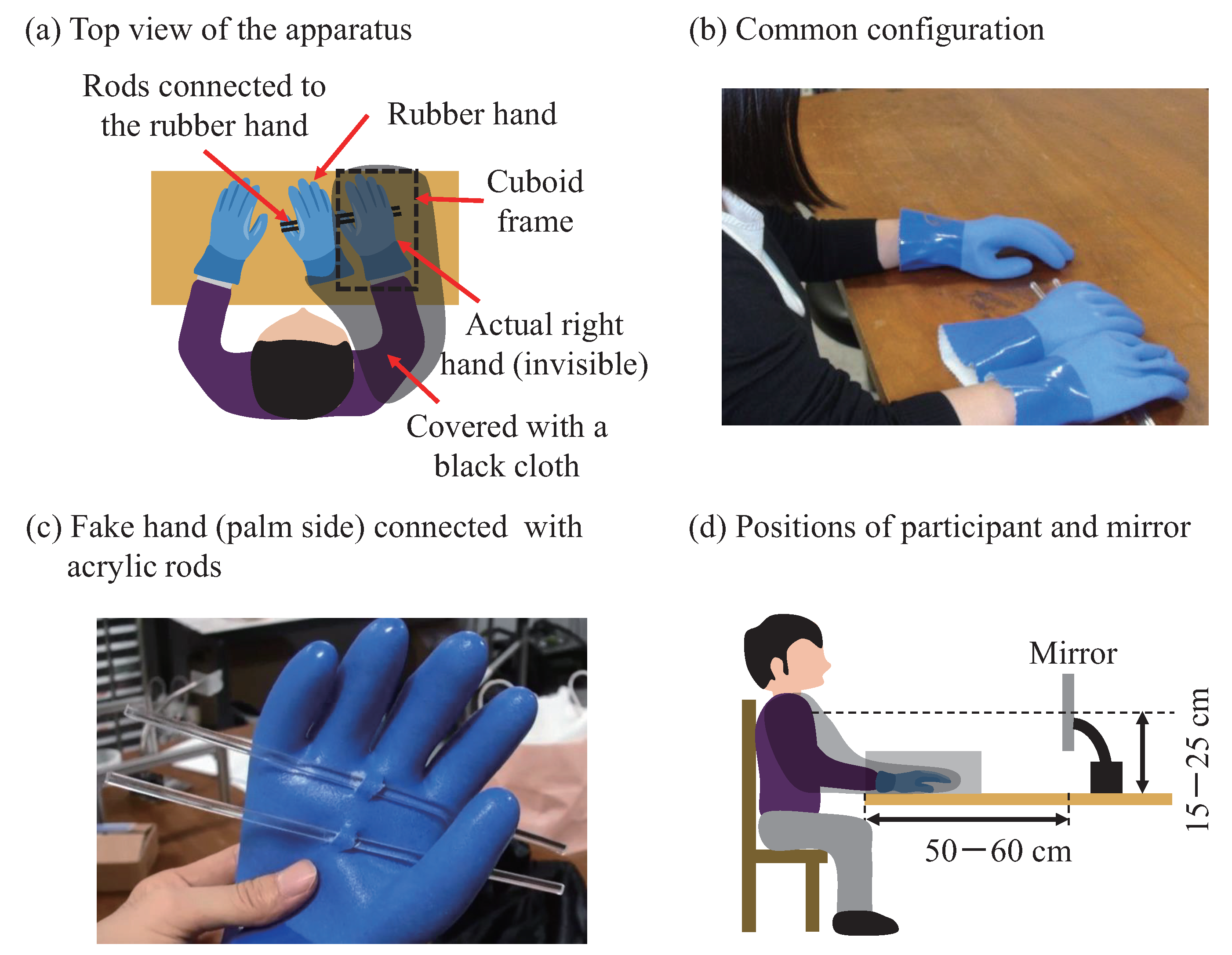 Self-Body Recognition through a Mirror: Easing Spatial-Consistency ...