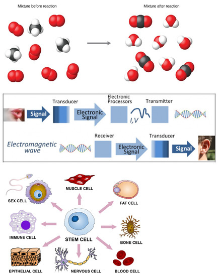 Publications | An Open Access Journal from MDPI