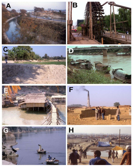 River Systems and the Anthropocene: A Late Pleistocene and Holocene ...