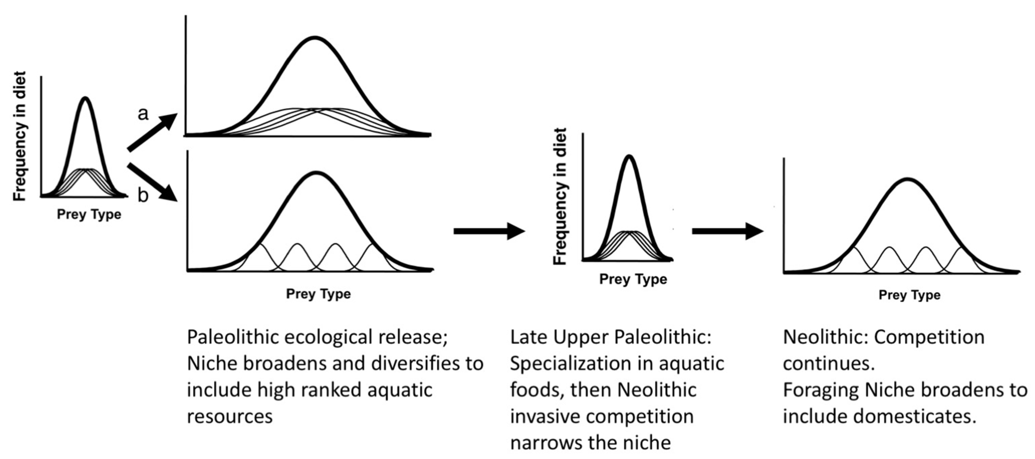 Modeling Incipient Use of Neolithic Cultigens by Taiwanese Foragers ...