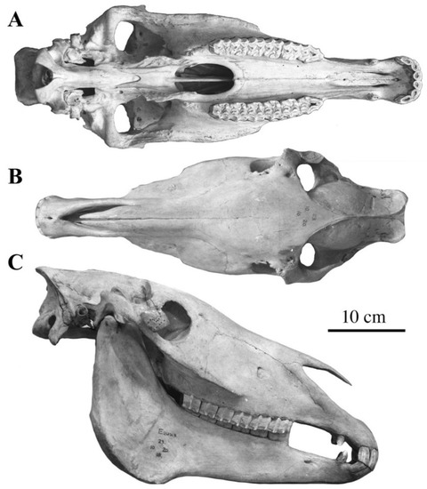 Quaternary | An Open Access Journal from MDPI