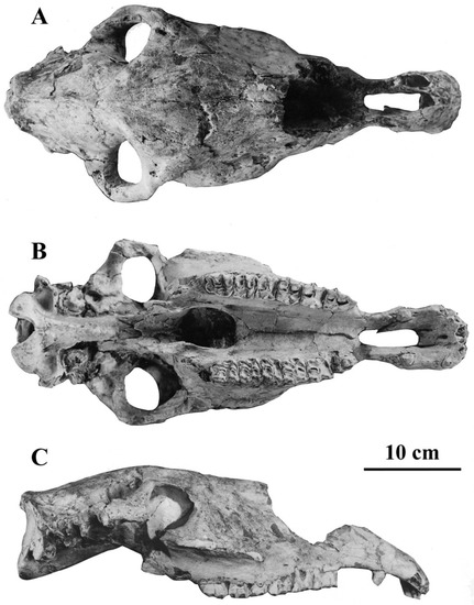 Quaternary | An Open Access Journal from MDPI