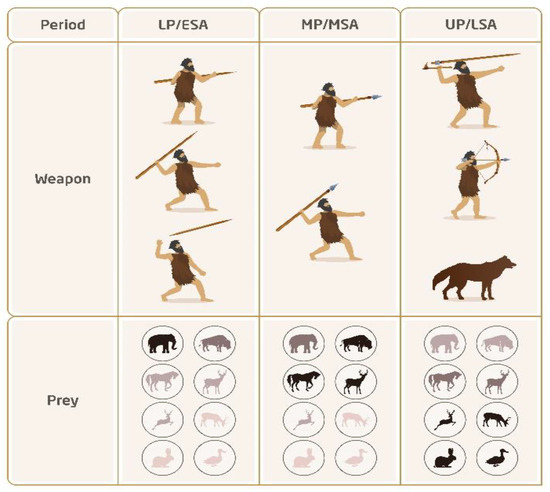 The Evolution of Paleolithic Hunting Weapons: A Response to Declining ...